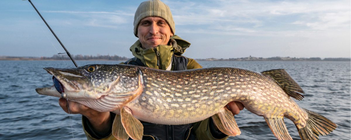 Is Fishing Better during the Fall Season? - Carefree Boat Club